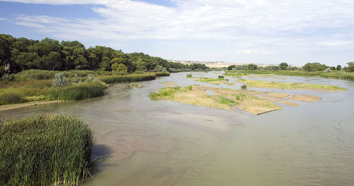 High Speed Wi-Fi For Home | ALLO Fiber