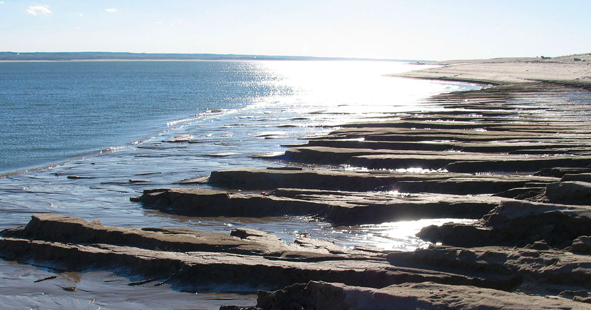 High Speed Wi-Fi For Home | ALLO Fiber