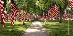 High Speed Wi-Fi For Home | ALLO Fiber