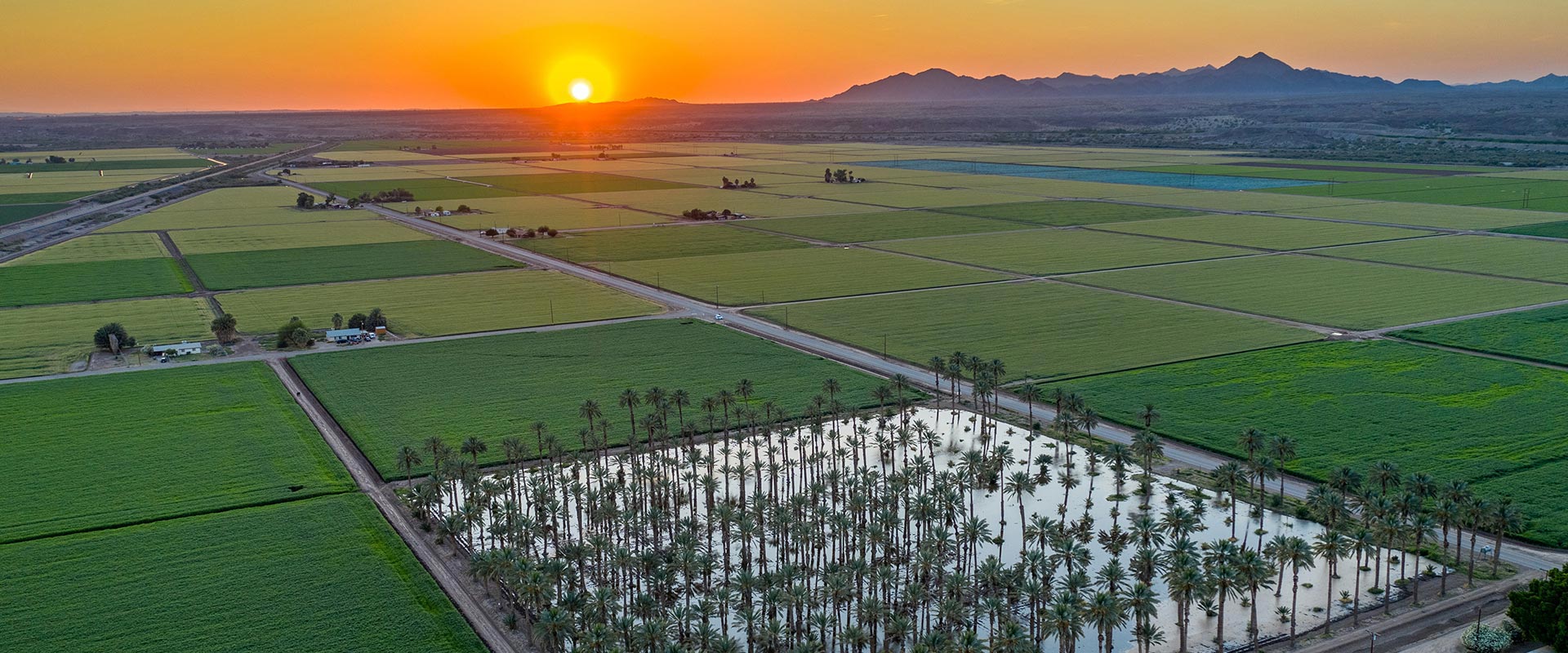 San Luis, AZ: Fiber Internet and Wi-Fi Provider